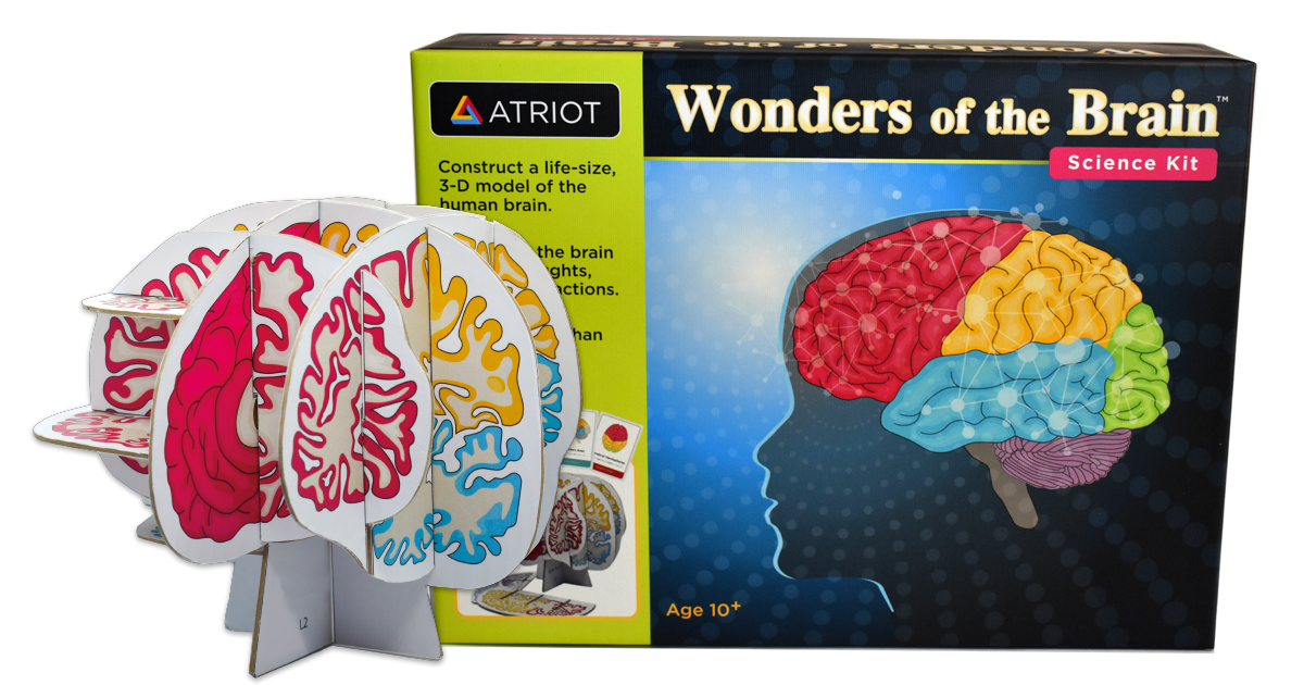Wonders of the Brain - Science Kit